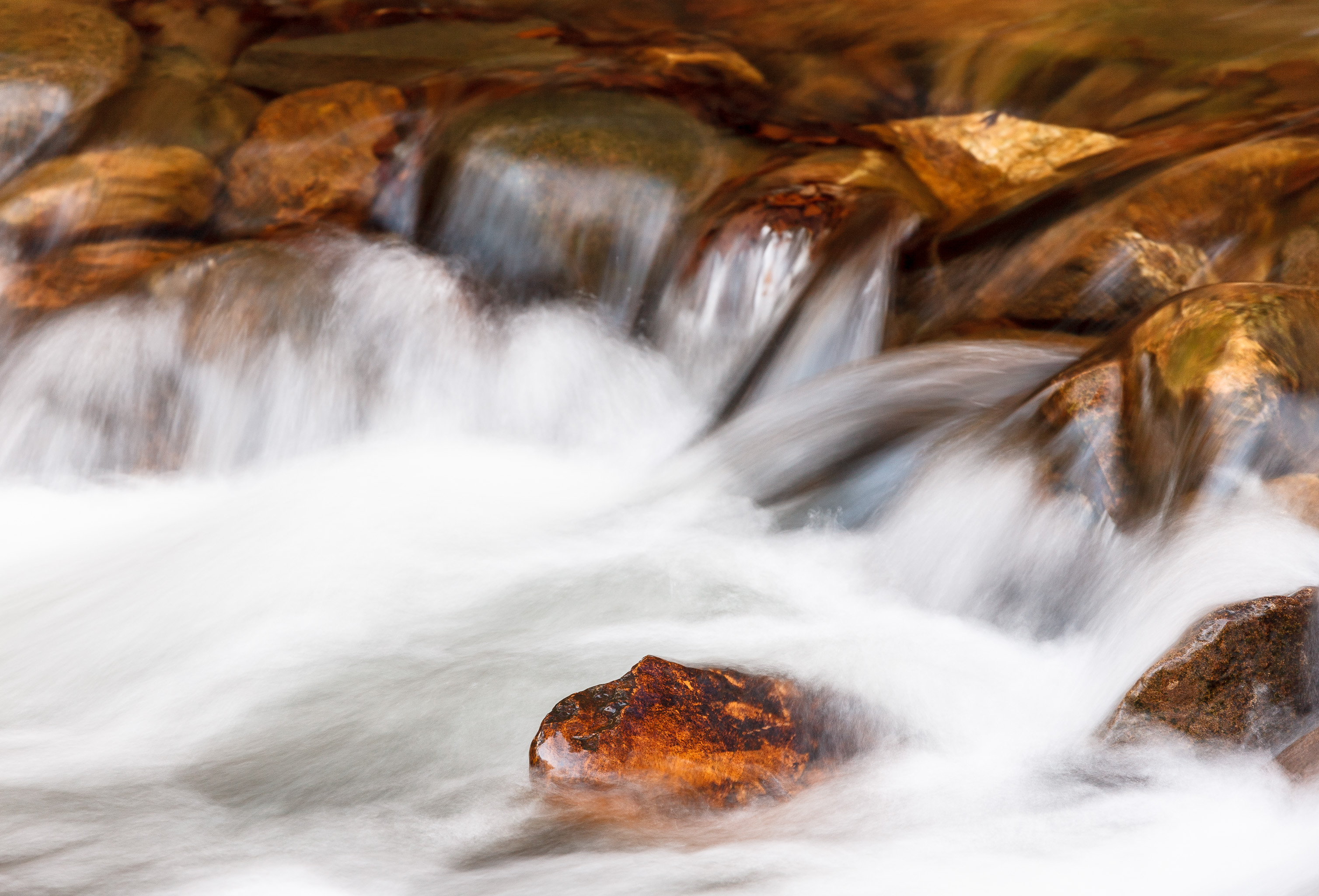 Home - Dave Chew Photography